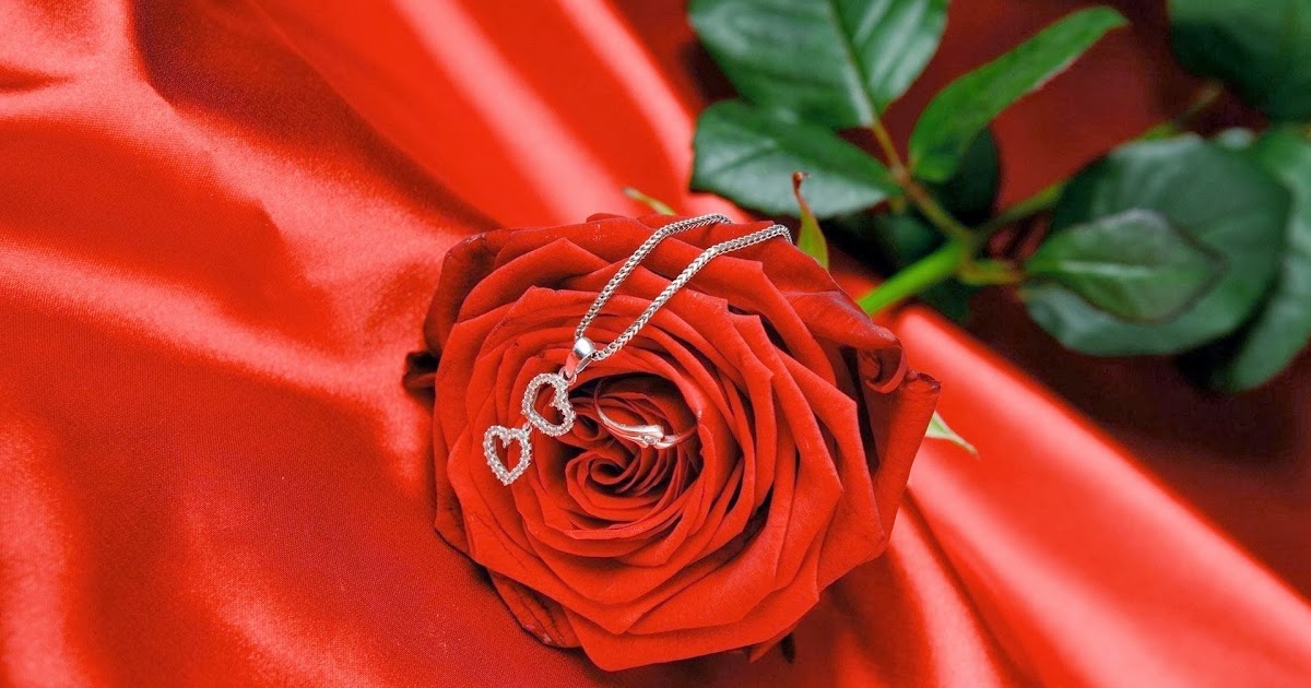 Romantic Red Roses Wallpaper at Erin Birks blog