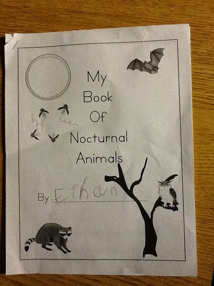 Ms. Woods' Kindergarten Class: All about nocturnal animals