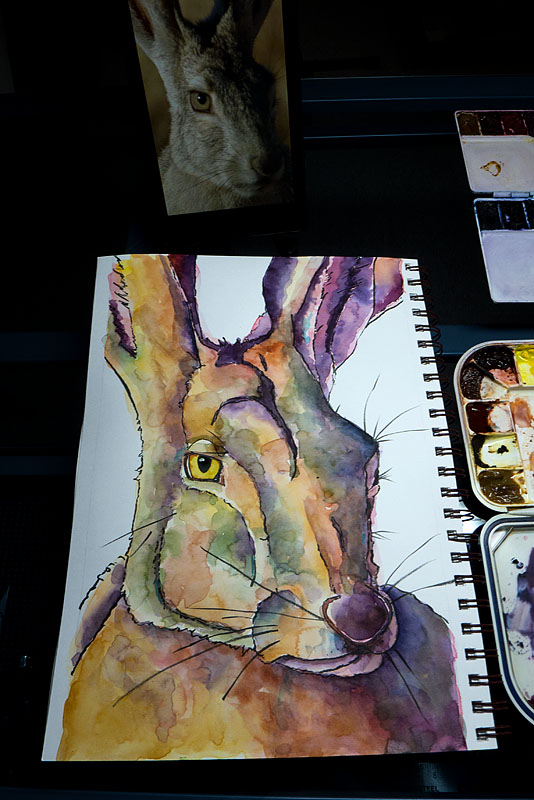 Stacy Creates Jackrabbit Step by Step stacy-creates-jackrabbit-step-by-step