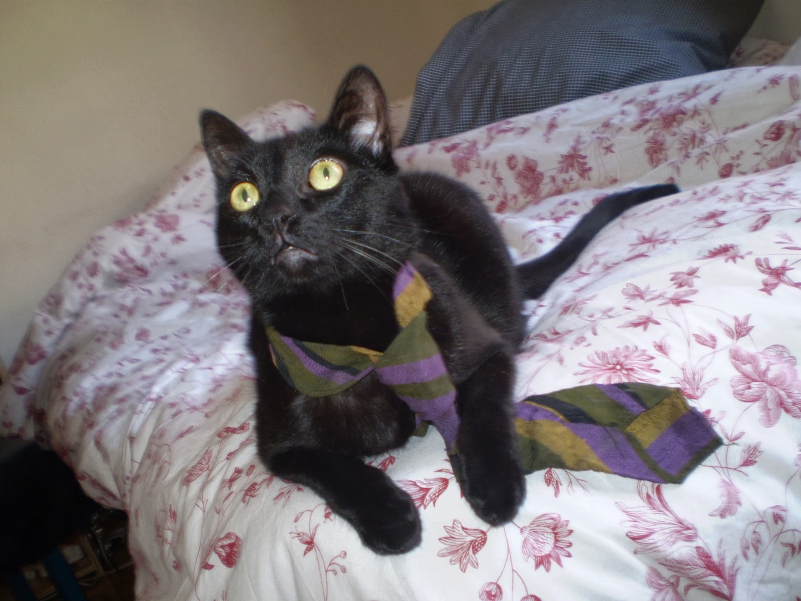 Preposiciones y Adverbios de Lugar | ¿Hablamos español?