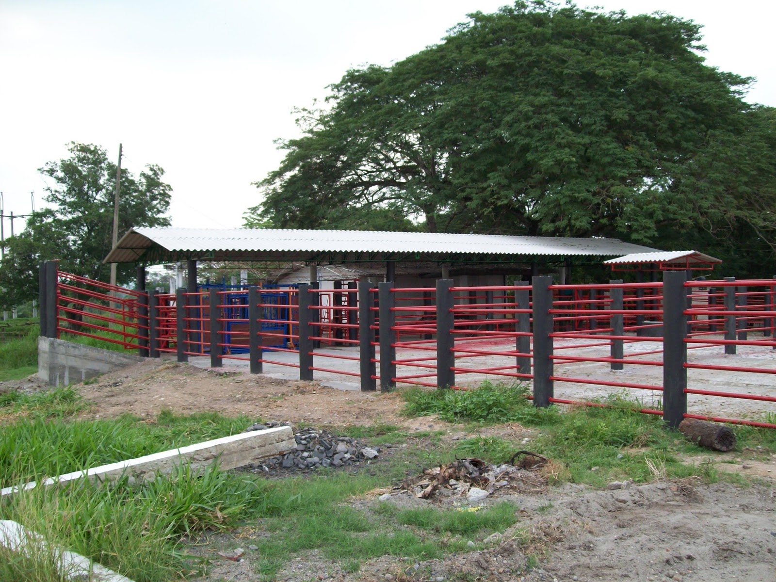 METALICAS FERCHO: CORRALES PARA GANADO EN TUBERIA
