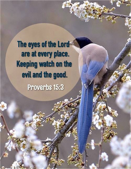 Sip A Bit Of Serenity: The Eyes Of God