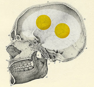 Fried Eggs And Scrambled Brain - Shatavale