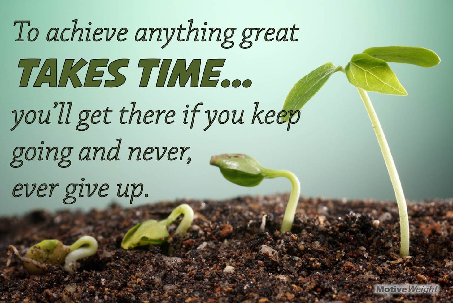 MotiveWeight Change Takes Time motiveweight-change-takes-time