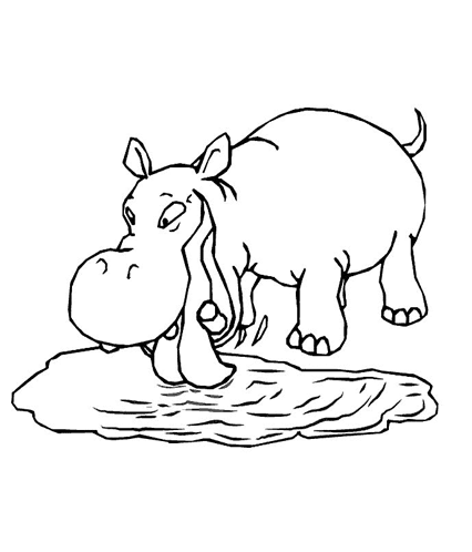 Hippopotamus Coloring Pages for Kids