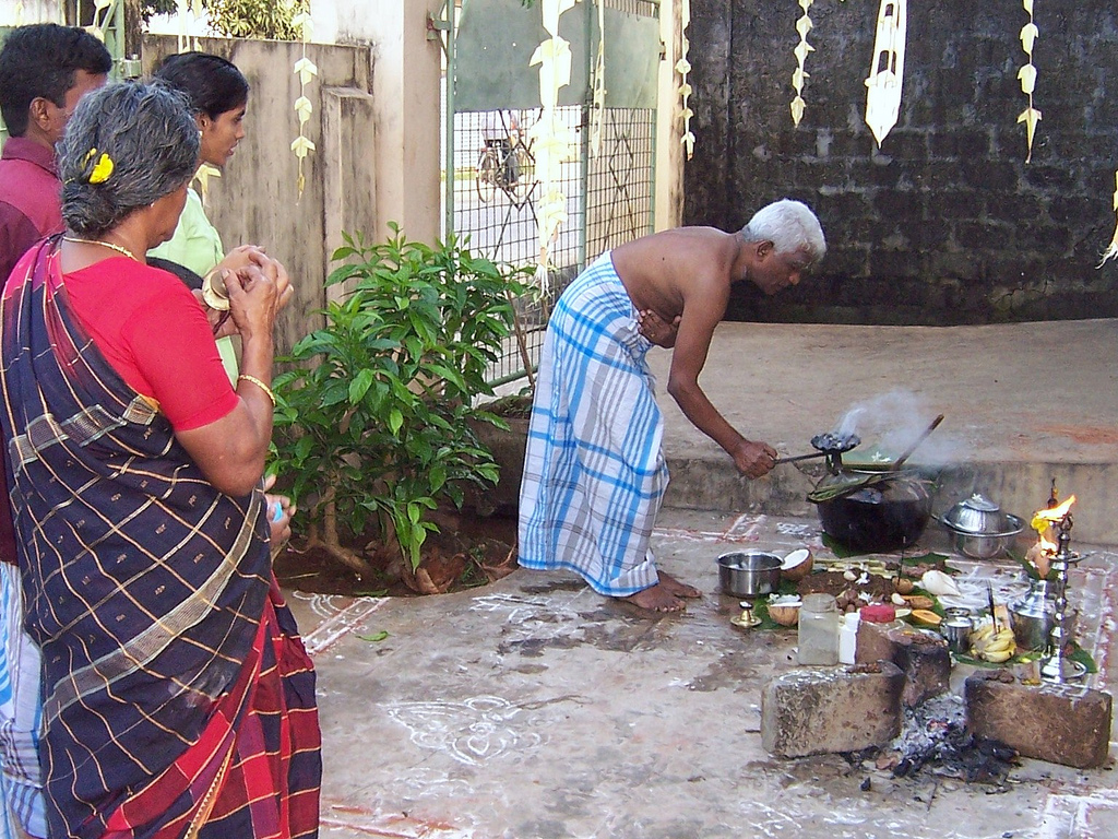 Visit Jaffna Thai Pongal In Jaffna visit-jaffna-thai-pongal-in-jaffna