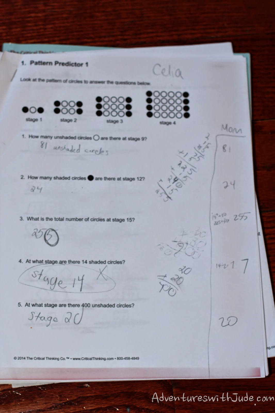 Adventures with Jude: Critical Thinking Co.: Pattern Explorer (A ...