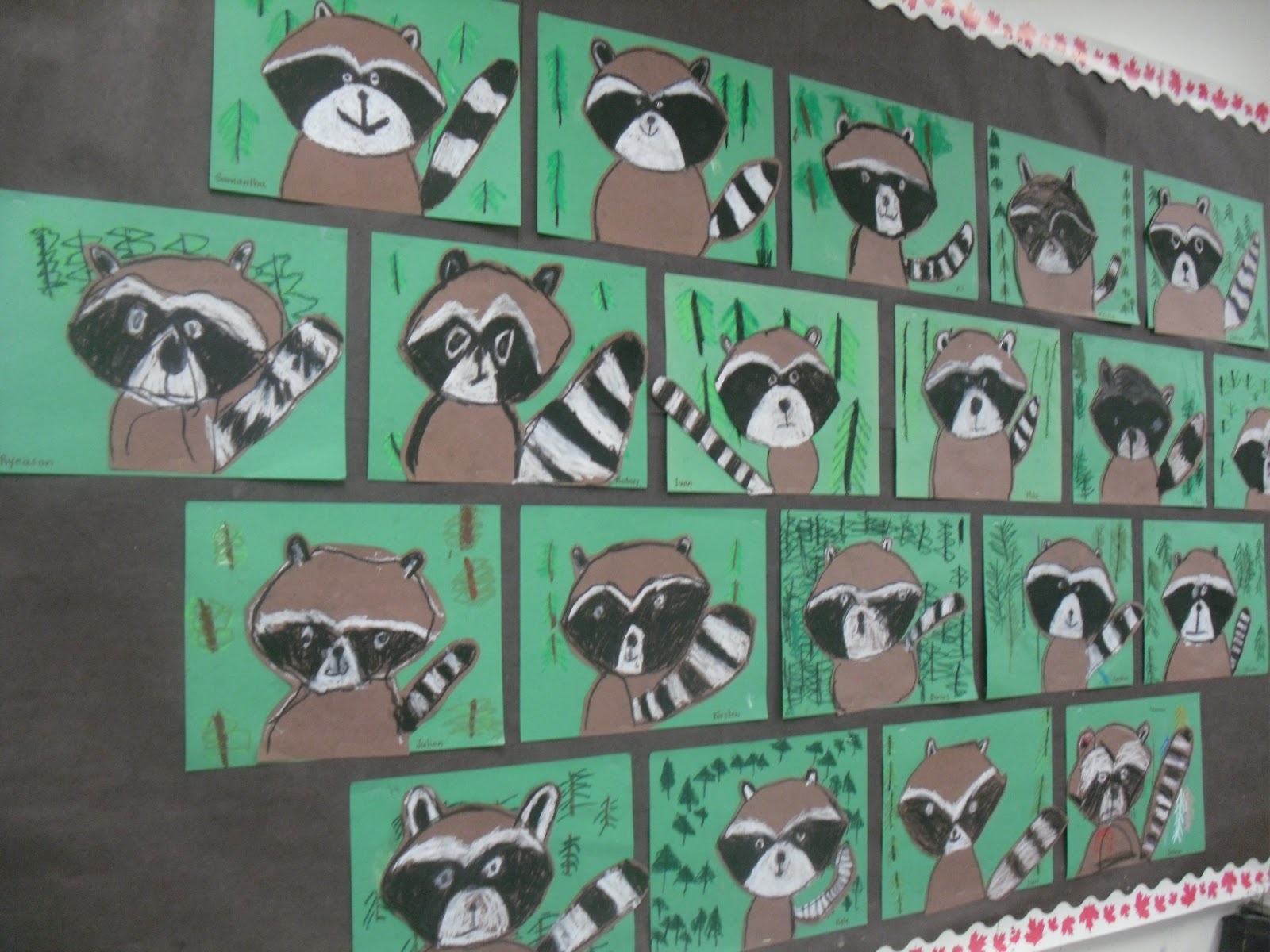 raccoons+013.JPG 1,600×1,200 pixels | Animal art projects, Art lessons ...