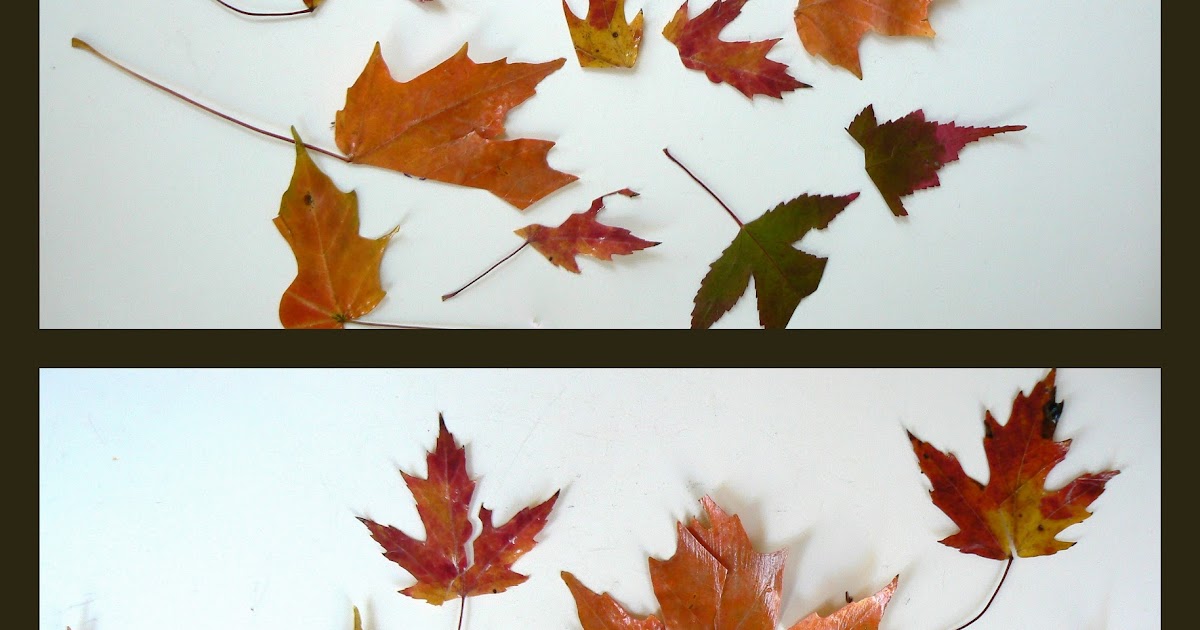 Having Fun at Home: Fall Leaf Puzzles