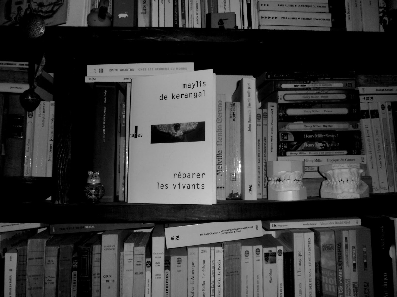 Réparer les vivants – Maylis de Kerangal – éditions Verticales – 2013. Réparer les vivants – Maylis de Kerangal – éditions Verticales – 2013.