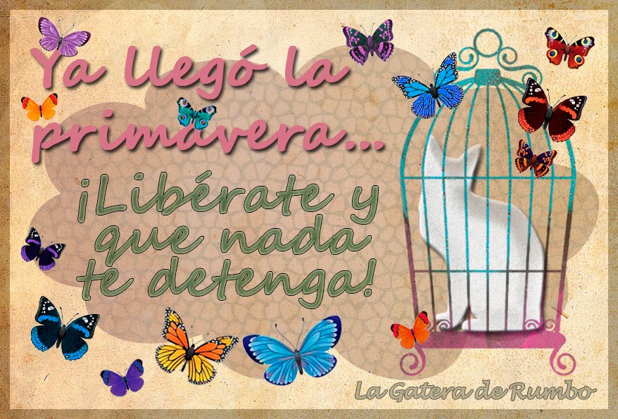 Frases Para La Primavera Con Imagenes