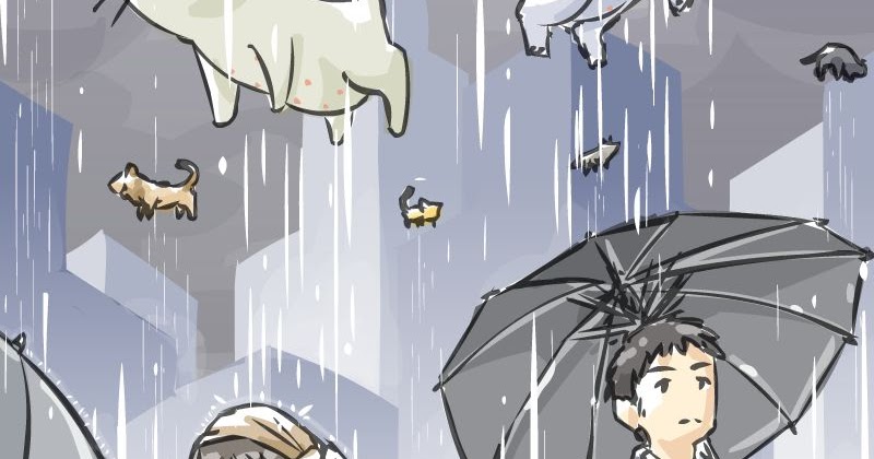 Everyday Idioms!!!: Raining Cats and Dogs