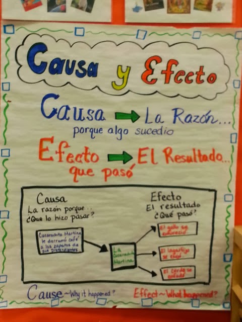 Dual language classroom, Dual language, Bilingual classroom