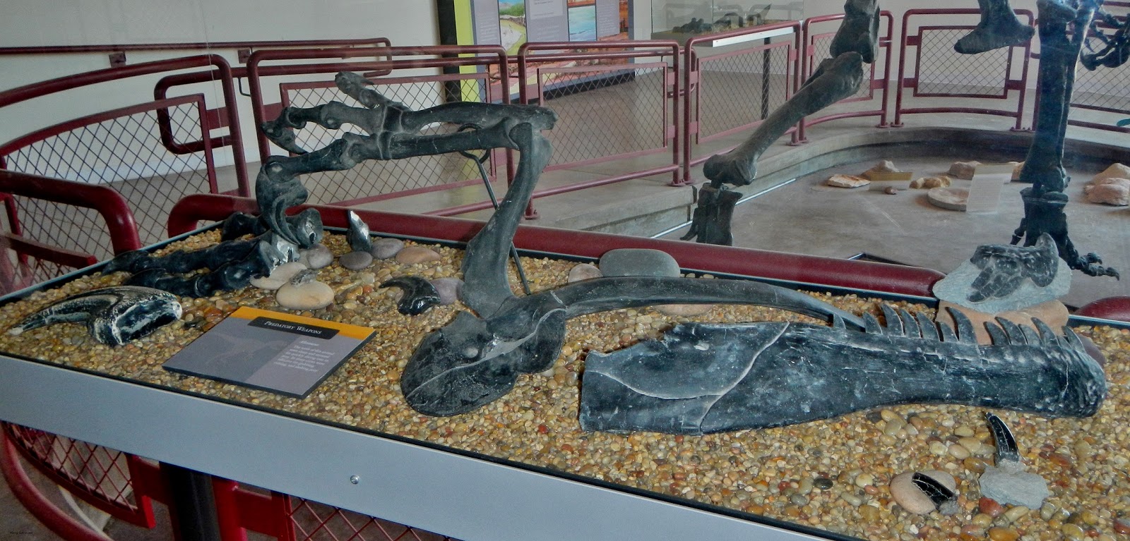 The Southwest Through Wide Brown Eyes: Cleveland-Lloyd Dinosaur Quarry ...