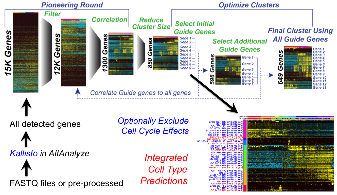 AltAnalyze Transcriptome Analysis: Hierarchical Clustering Heatmaps in ... AltAnalyze Transcriptome Analysis: Hierarchical Clustering Heatmaps in ...