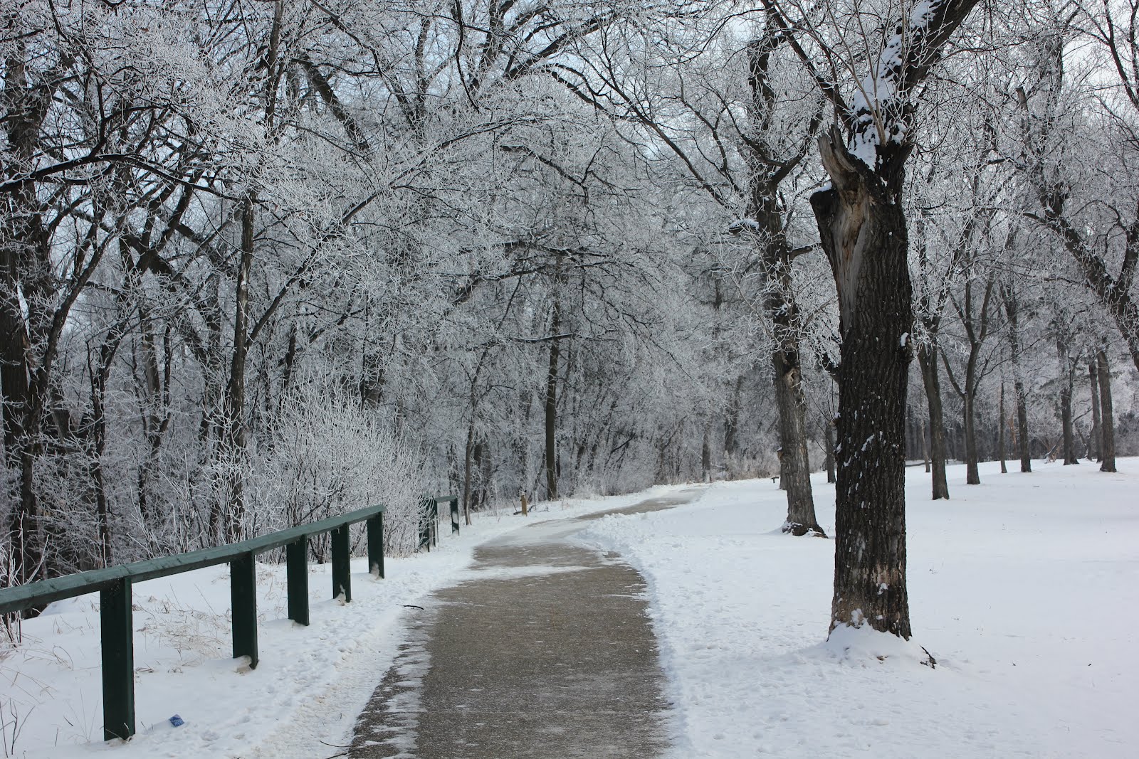 IAWP Region 12 Western Northern Canada Winnipeg Winter Wonderland iawp-region-12-western-northern-canada-winnipeg-winter-wonderland
