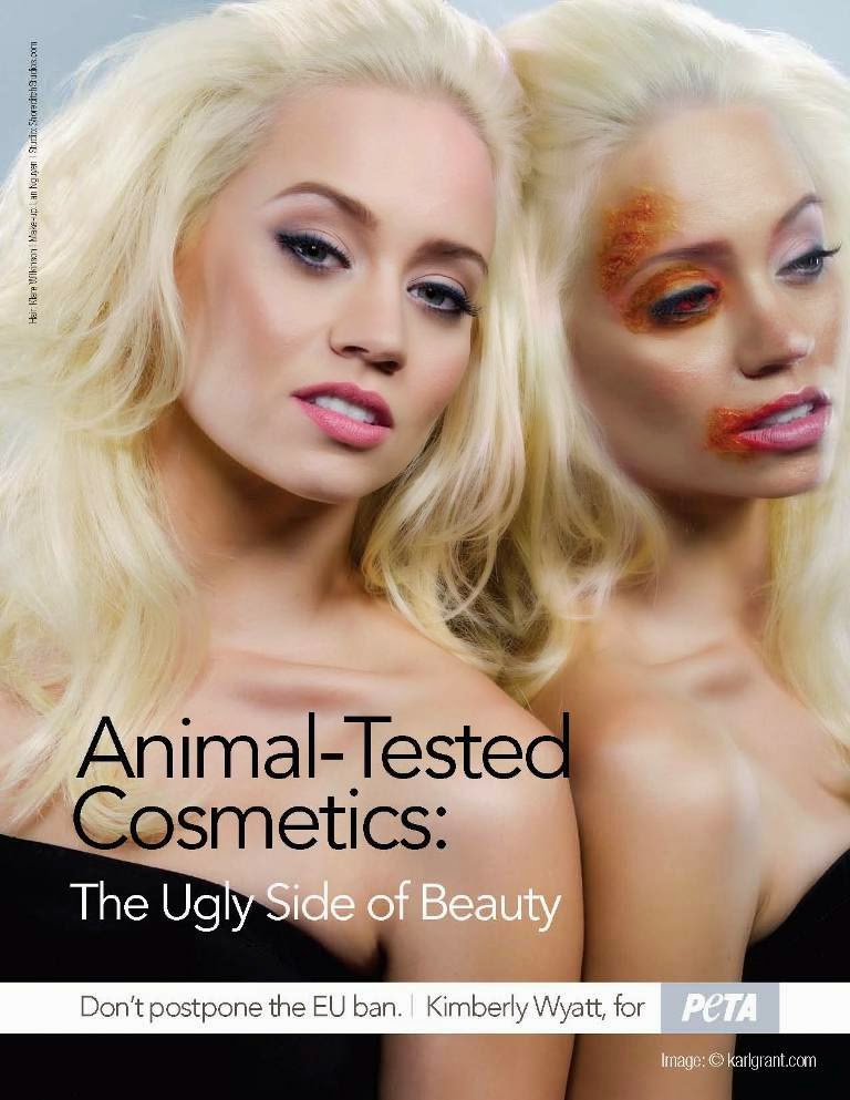Prevention Of Cruelty Towards Animals Essays prevention-of-cruelty-towards-animals-essays
