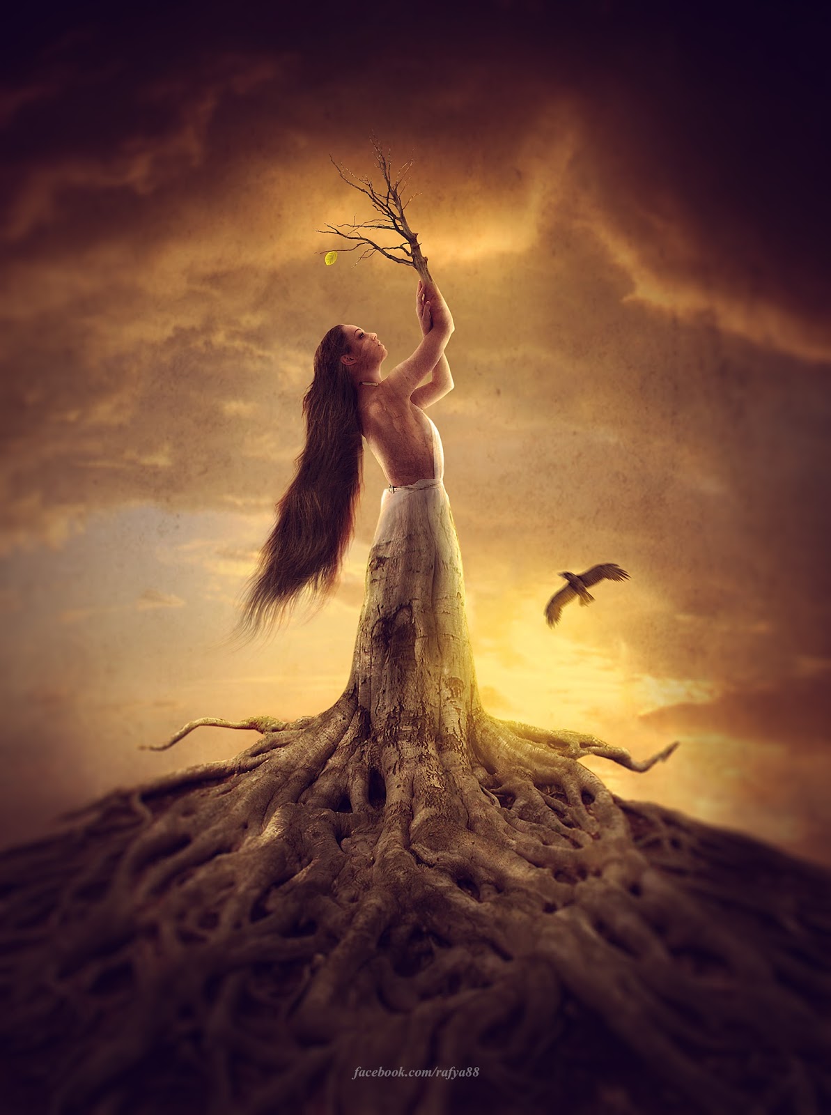 Photo Manipulation Female Of Root Rafy A photo-manipulation-female-of-root-rafy-a