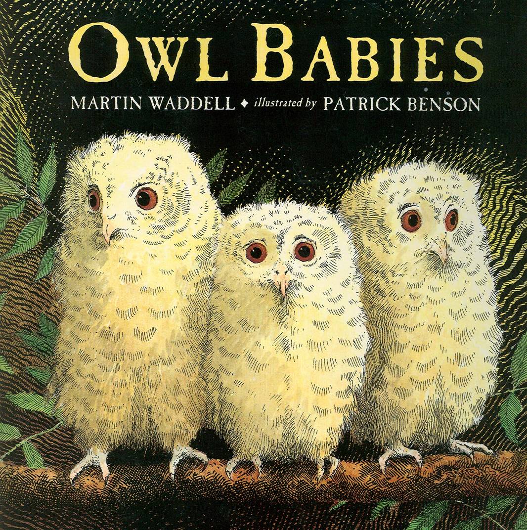 Owl Babies Unit Study Homeschool Jabber owl-babies-unit-study-homeschool-jabber