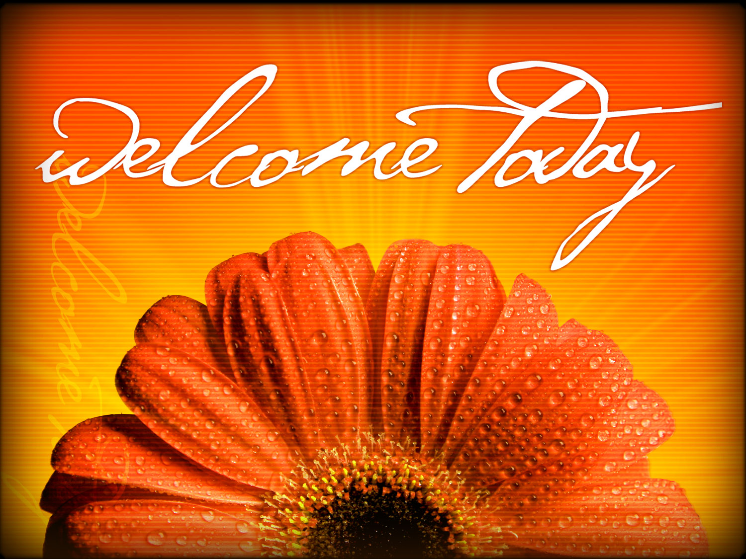 Book Dreaming Welcome Today book-dreaming-welcome-today
