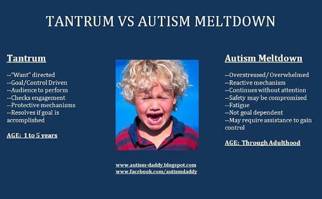 Tantrum Vs Meltdown Limefreckle tantrum-vs-meltdown-limefreckle