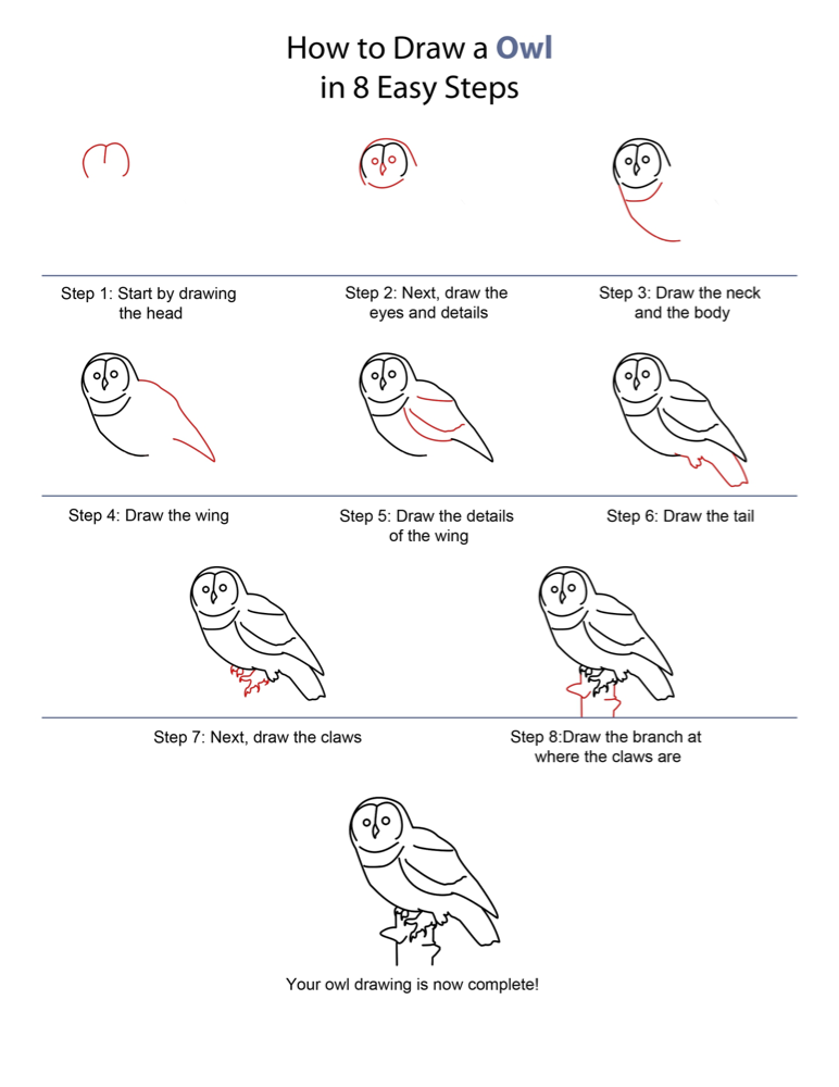 How to Draw Owl - How to Draw Animal
