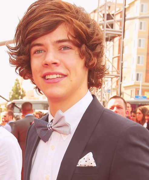 Descripcion de harry styles - Imagui