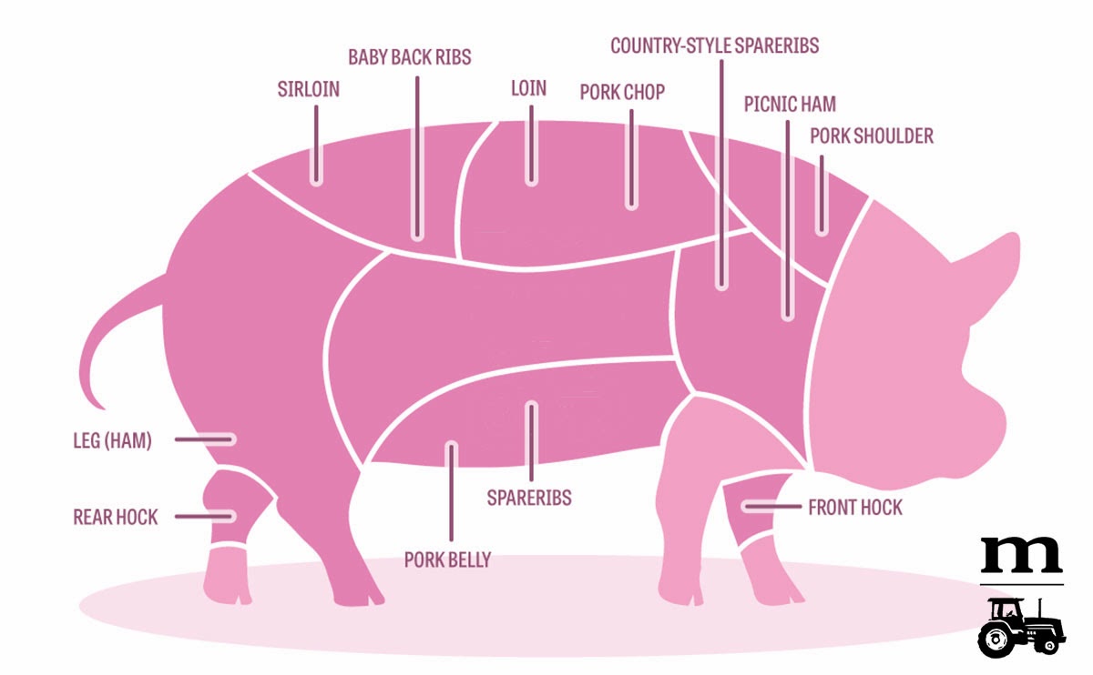 WALLACE SPRINGS ECO CENTRE Heritage Pastured Pork For Sale wallace-springs-eco-centre-heritage-pastured-pork-for-sale