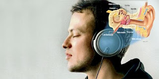 Hábitos y Salud: ¿COMO AFECTA LA MÚSICA ALTA EN NUESTROS OÍDOS?