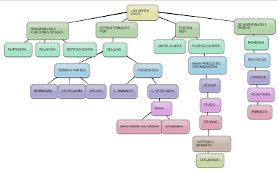 Clasificaciòn de los seres vivos: INTRODUCCIÓN