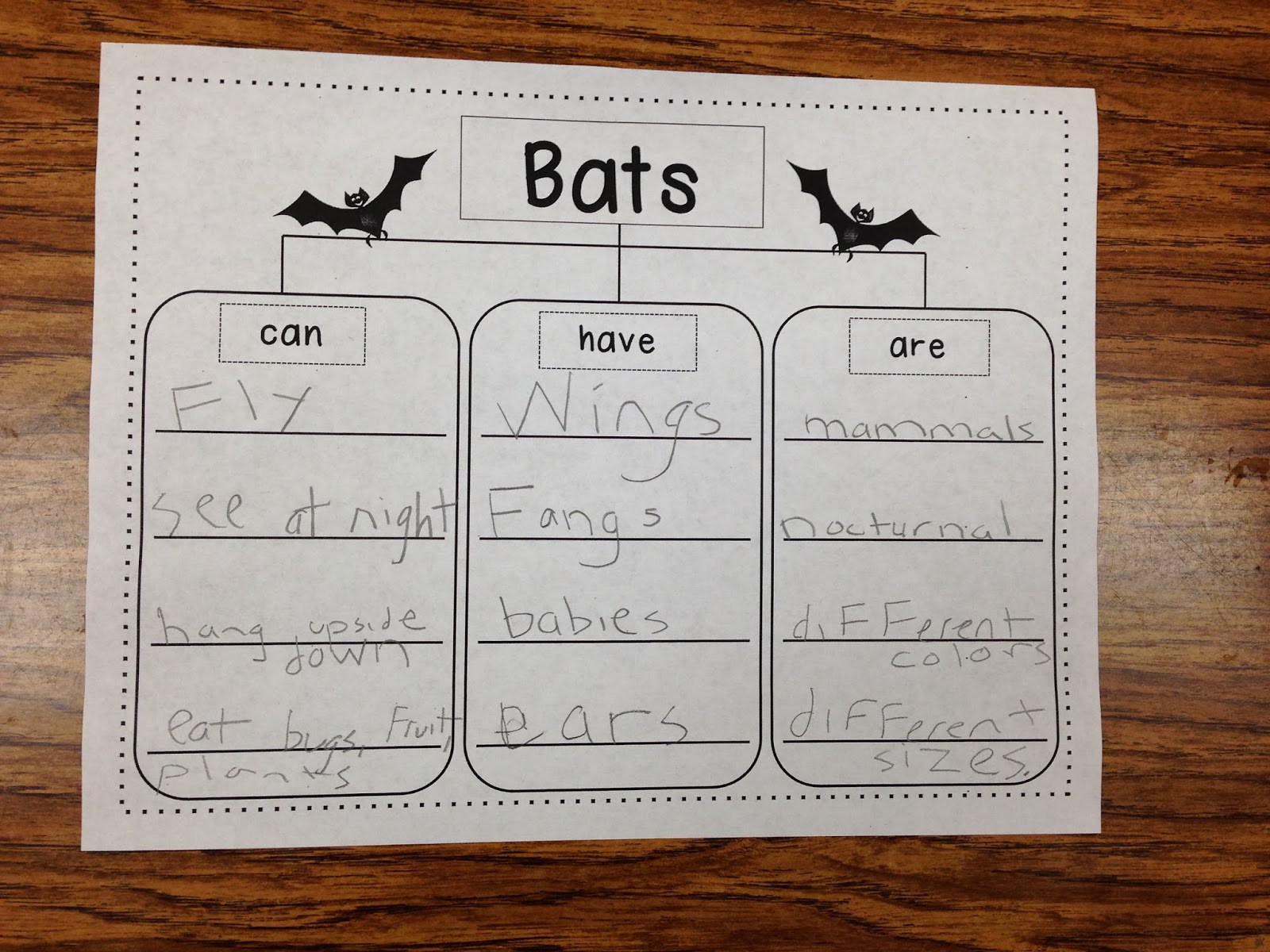 A Spoonful of Learning: Bats, Bats, Bats! (Part 1)