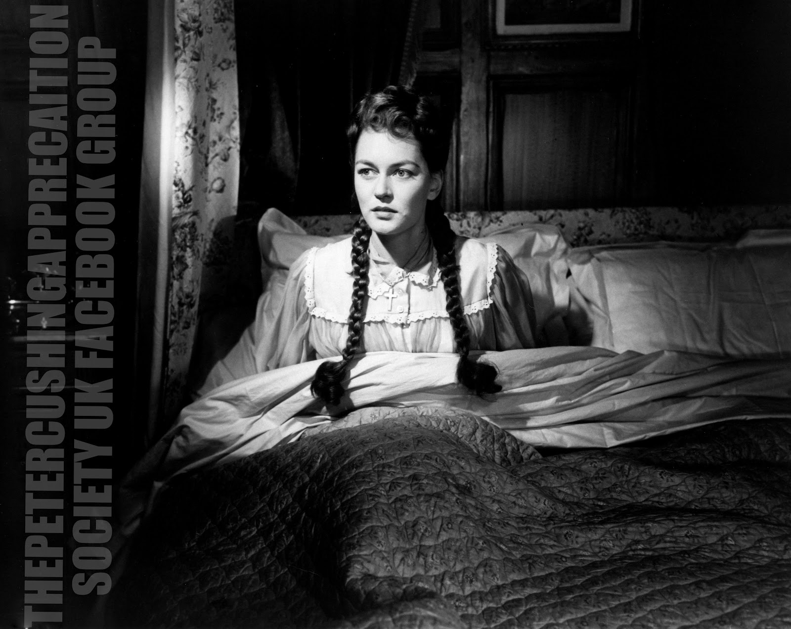 The Black Box Club: HAMMER FILMS: THE MISTRESSES OF DRACULA PART ONE BY BRUCE G HALLENBECK