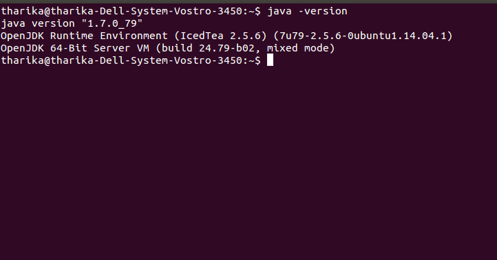 Java Runtime 7u79 kailnich