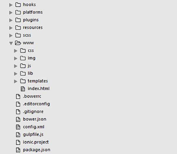 Tutorial Ionic Framework - Starter Project - Brillian Solution