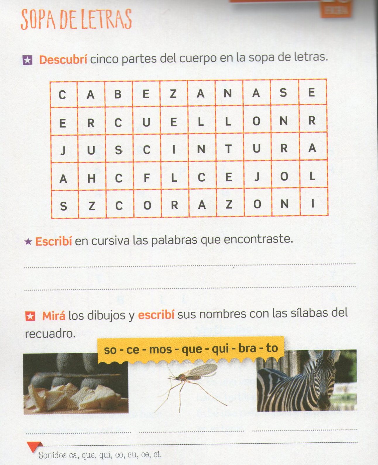FICHAS FOTOCOPIABLES PARA SEGUNDO GRADO | ACTIVIDADES FOTOCOPIABLES ... FICHAS FOTOCOPIABLES PARA SEGUNDO GRADO | ACTIVIDADES FOTOCOPIABLES ...