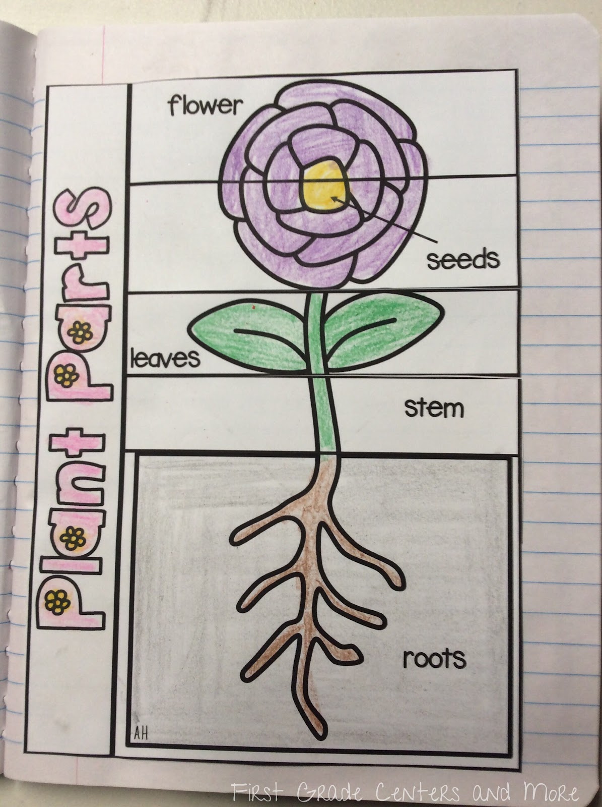 Interactive Science Notebook 1st Grade - First Grade Centers and More