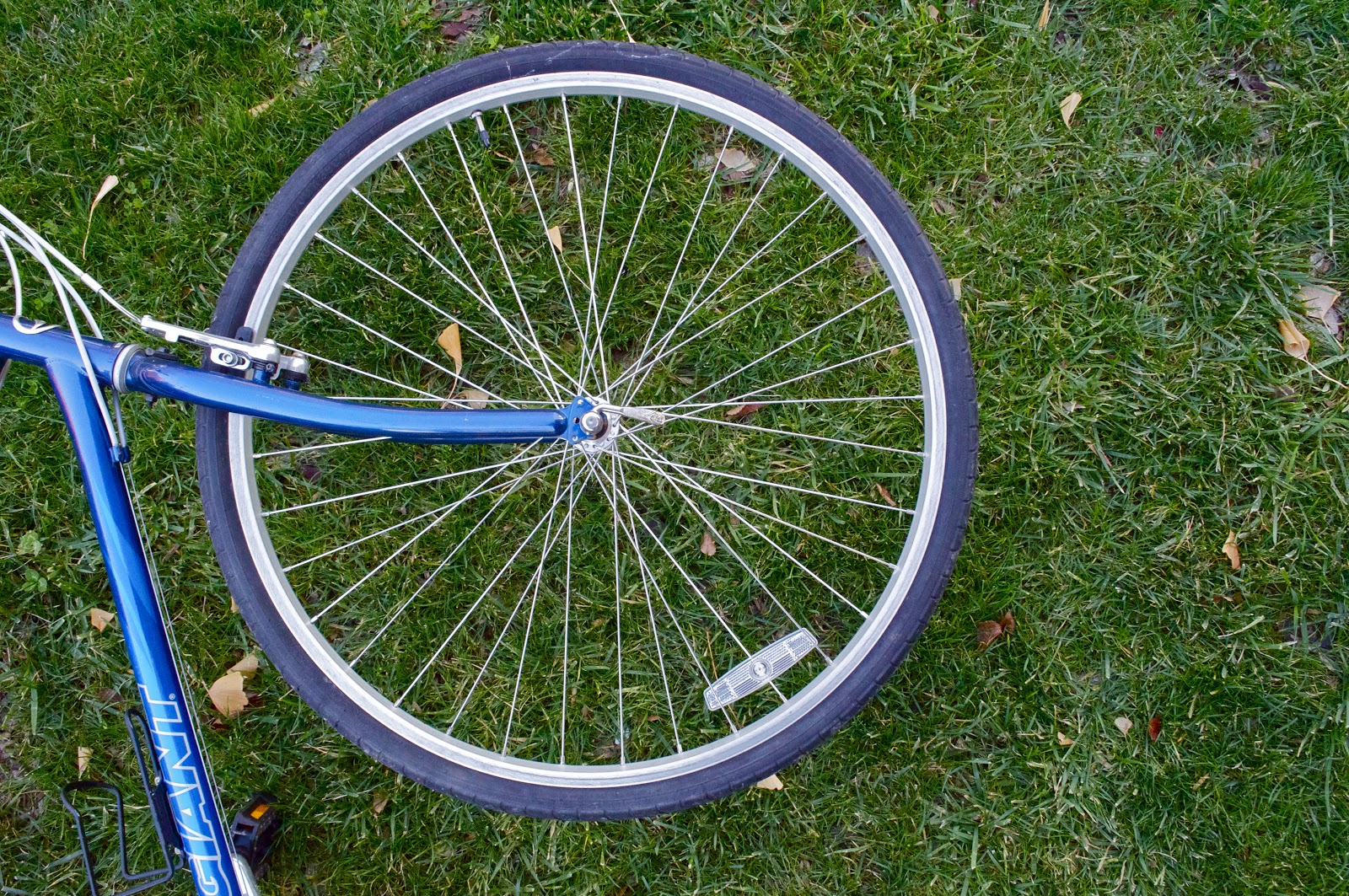 130 Shaena Neal 26 Radial Balance 130-shaena-neal-26-radial-balance