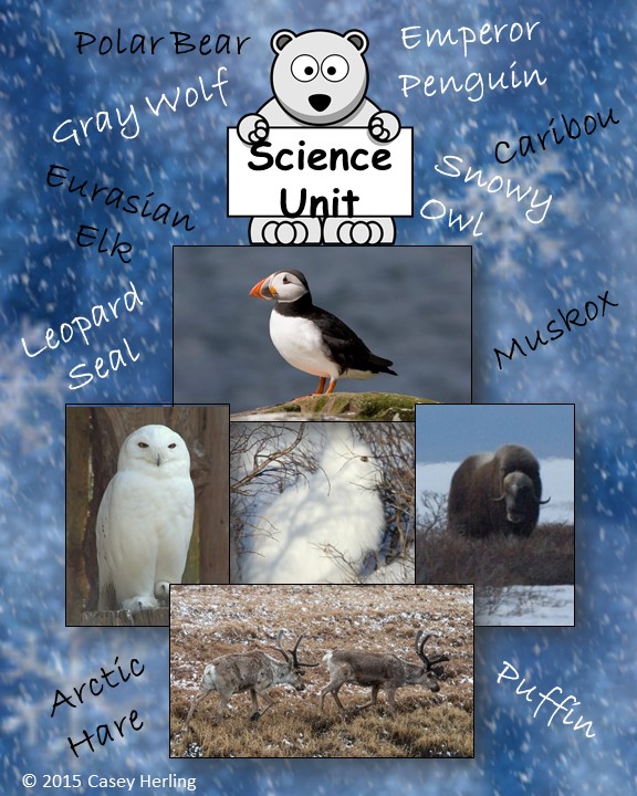 The Best of Teacher Entrepreneurs II: Science Lesson - "Cold Climate ...