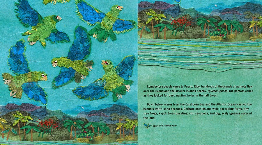 Kiwi's Angels: Parrots Over Puerto Rico Book