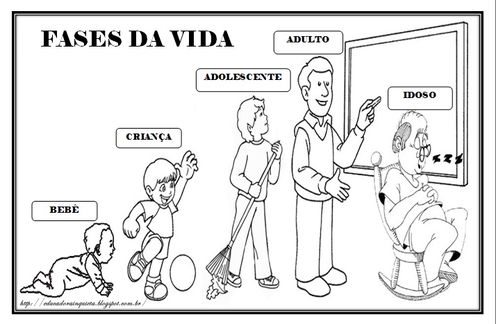 Educadora Inquieta: Cartaz: Fases da Vida