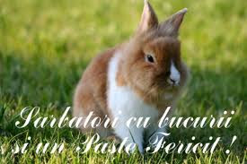 Imagini paste: Felicitari paste