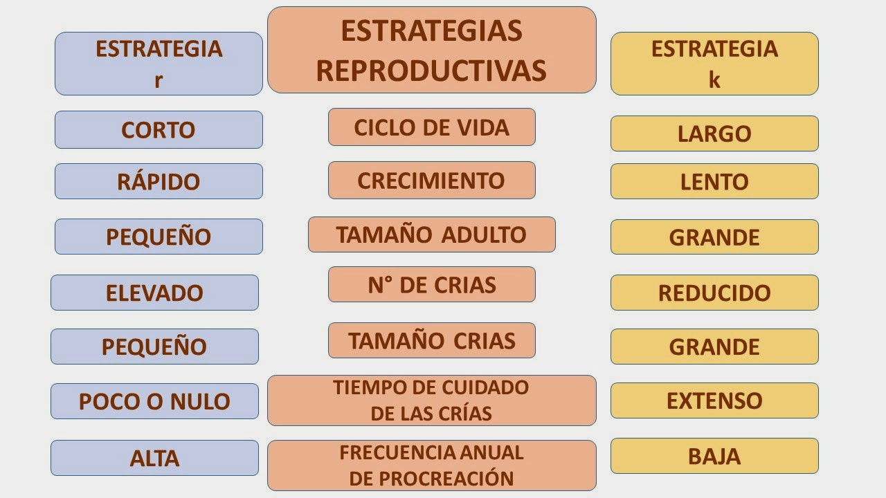 Biología en la secundaria: Estrategias reproductivas