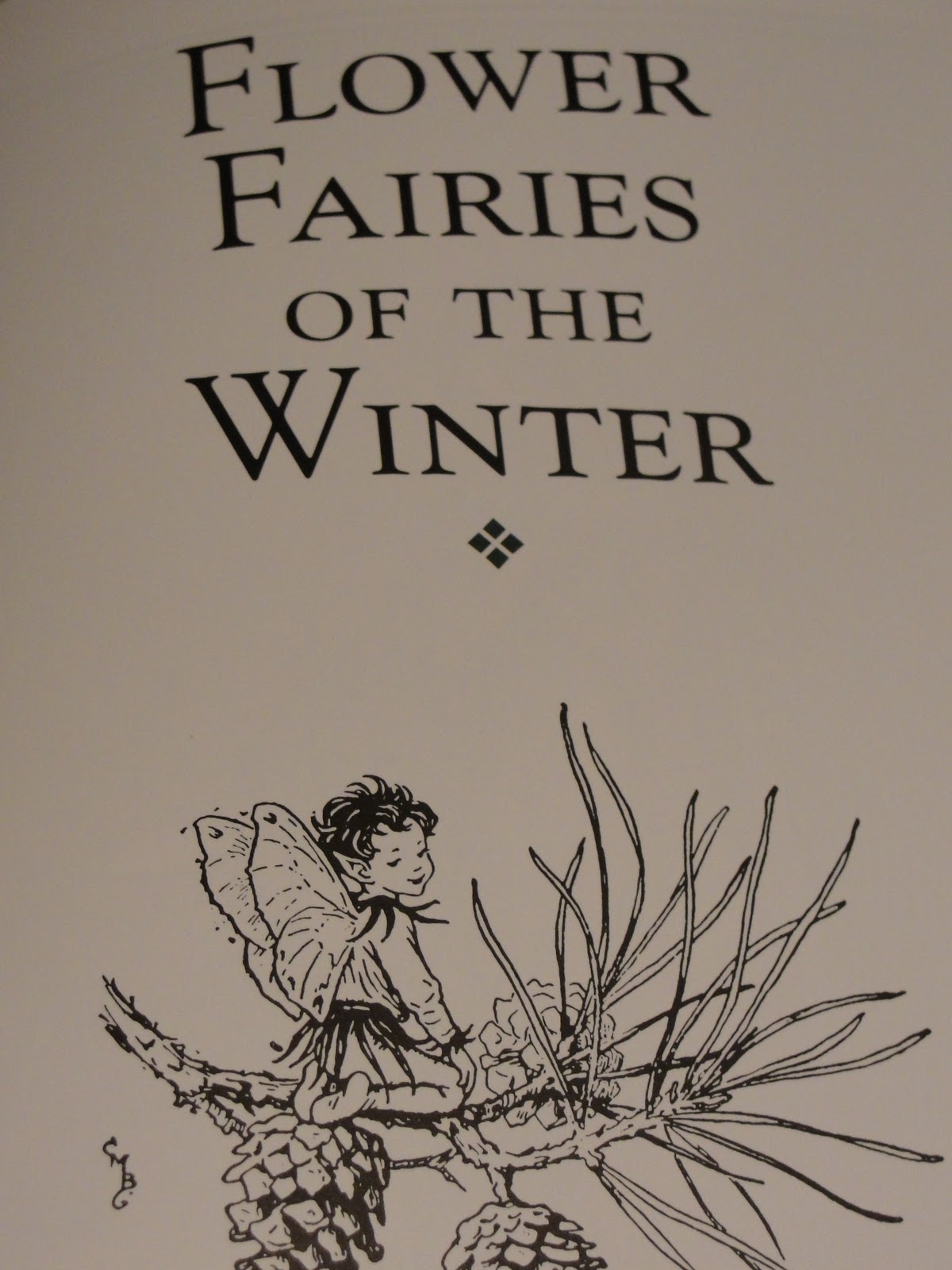 Welcoming winter fairies into our garden