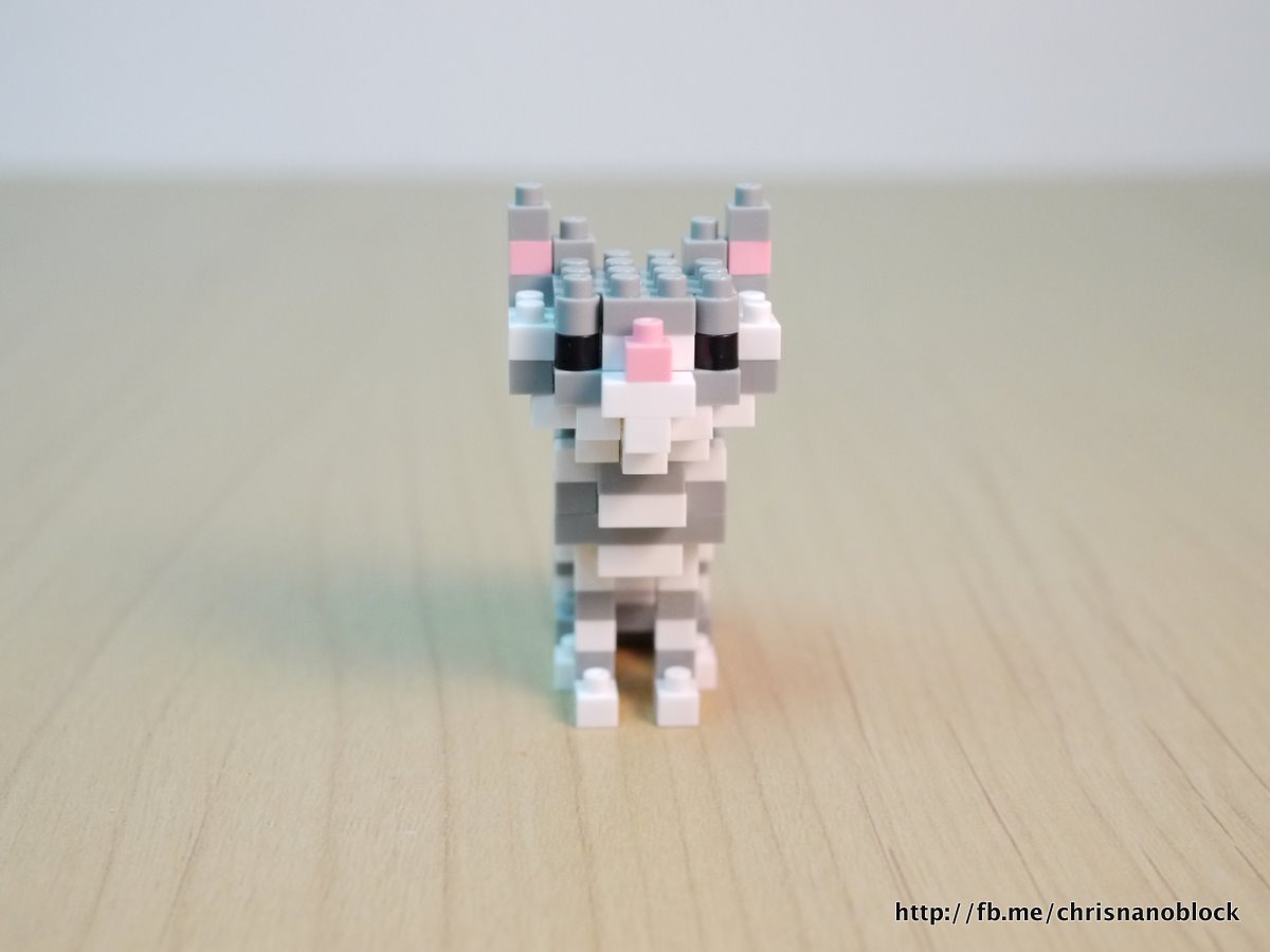 Christopher Tan: nanoblock American Shorthair (Cat) Review