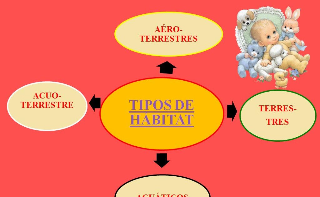 LOS HÁBITAT: TIPOS DE HÁBITAT