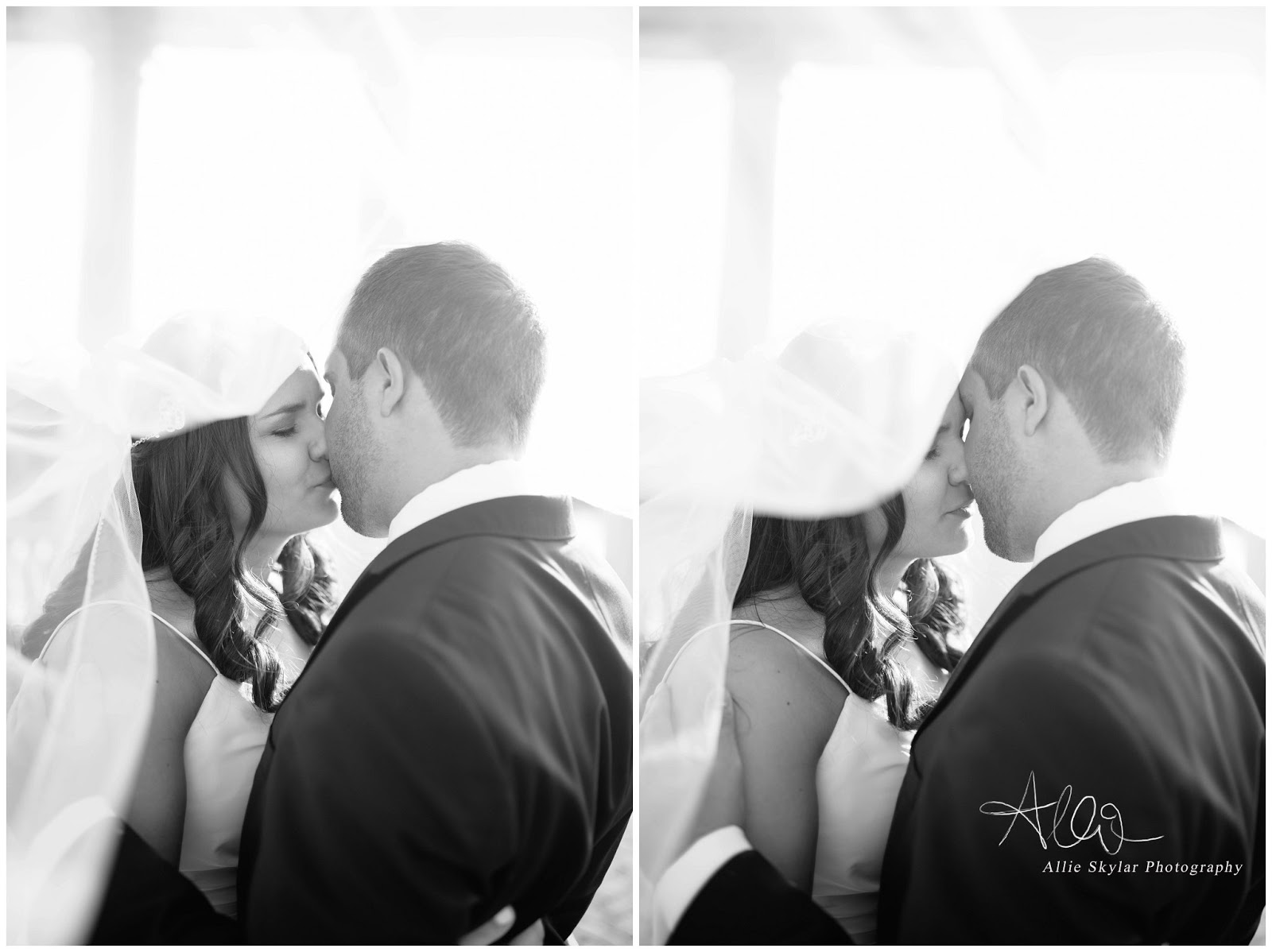 Why You Should Schedule A Post wedding Portrait Session Philadelphia why-you-should-schedule-a-post-wedding-portrait-session-philadelphia