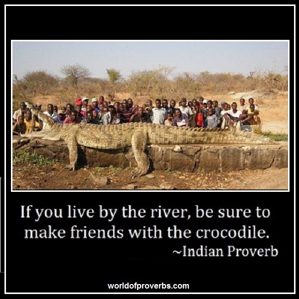 To See More Illustrated Proverbs Click Here to-see-more-illustrated-proverbs-click-here