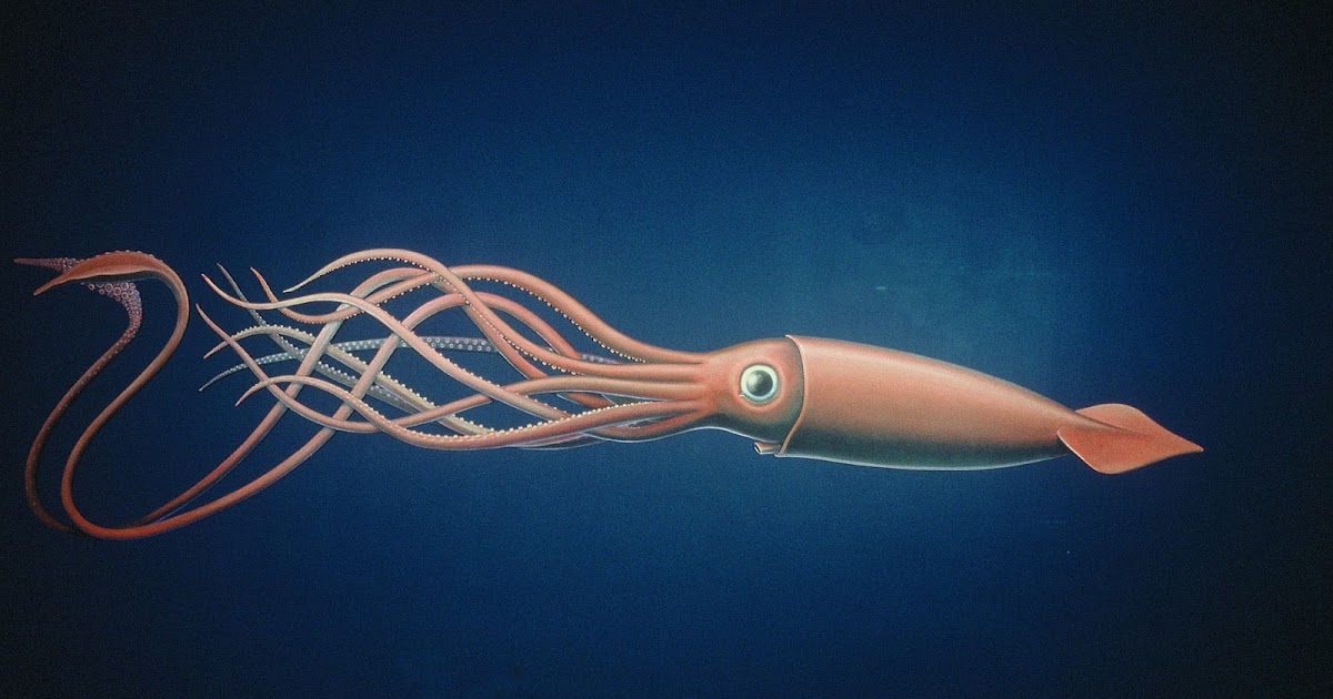 Los de abajo a la izquierda: Un estudio revela que hay una única ...