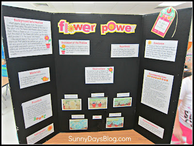 Science Fair Made Easy (and Free!) - Sunny Days in Second Grade