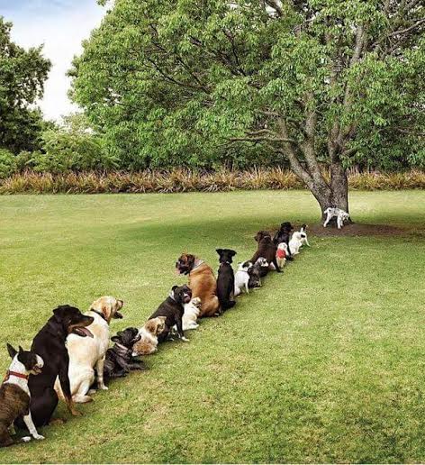 EMPEHI REUNION Look What Happens When Too Many Trees Are Cut Down empehi-reunion-look-what-happens-when-too-many-trees-are-cut-down